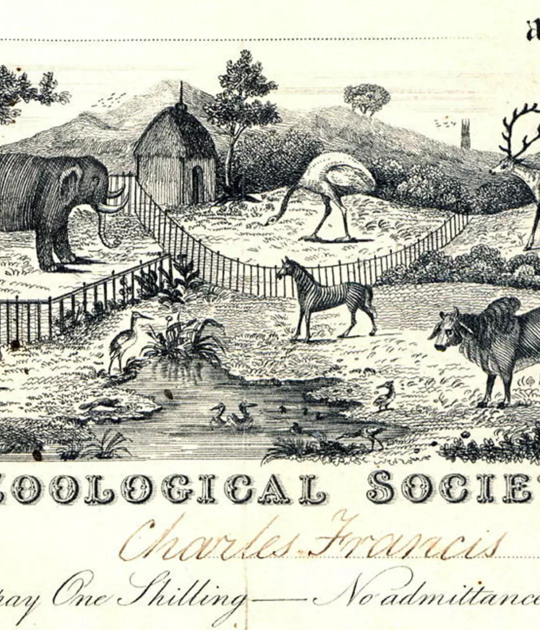 History of London Zoo | London Zoo