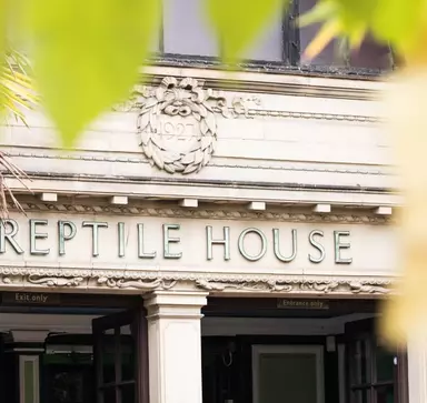 Reptile House history | London Zoo