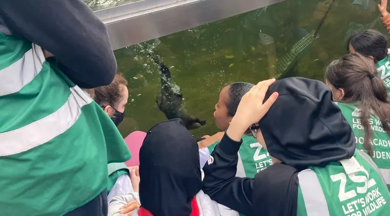 Work Experience at London Zoo | London Zoo