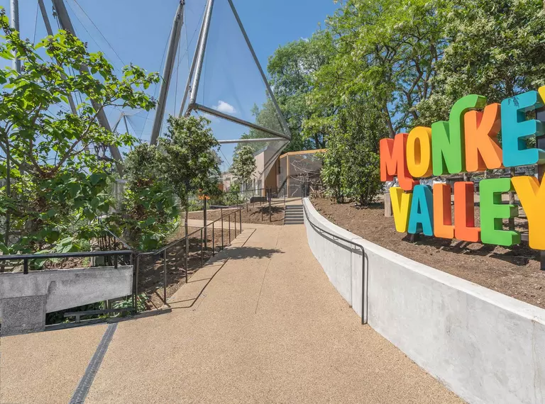 Monkey Valley | London Zoo