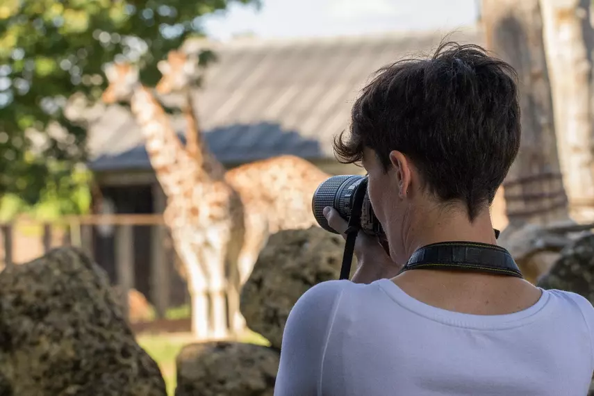 About us | London Zoo